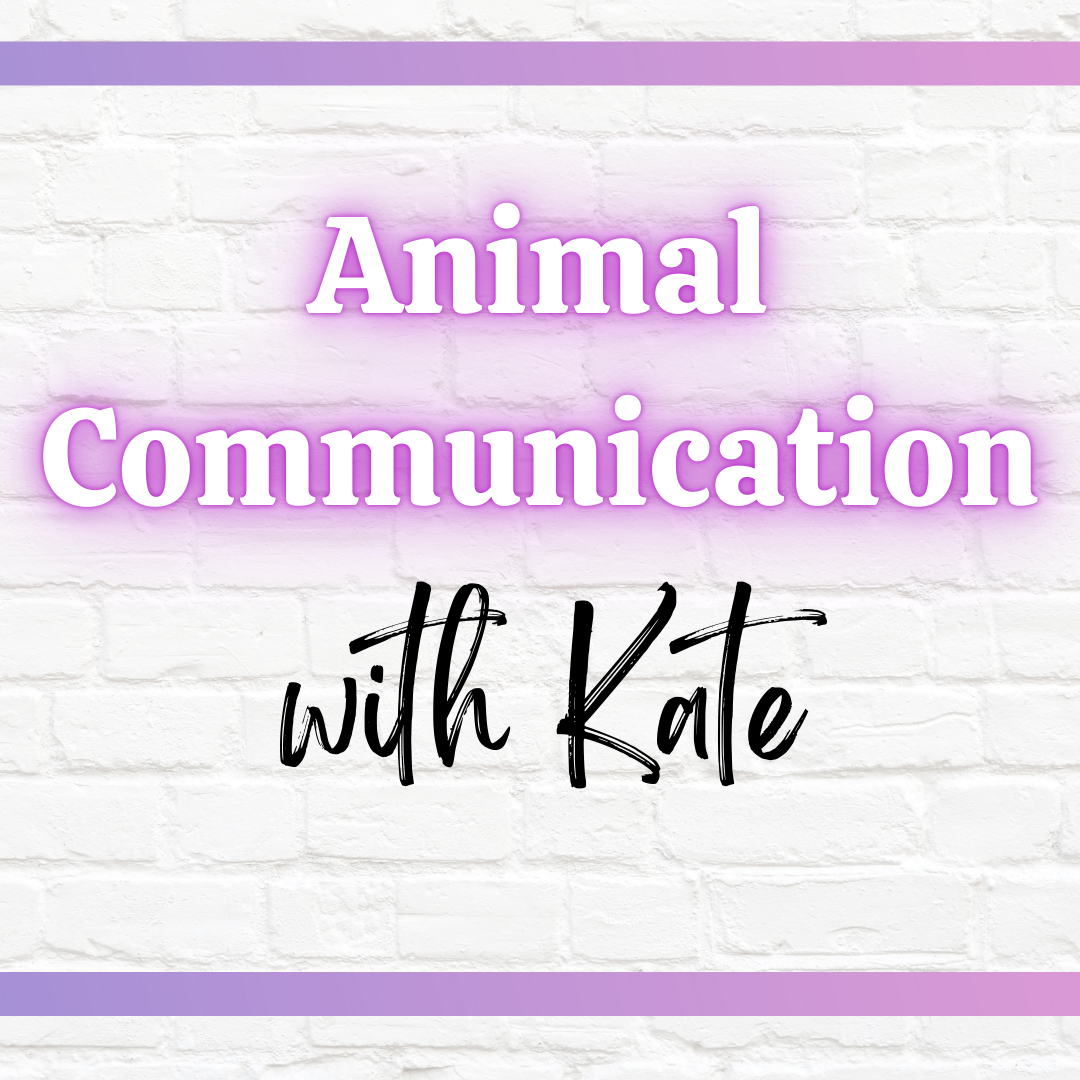 Animal Communication with Kate – Purrrfectly Holistic